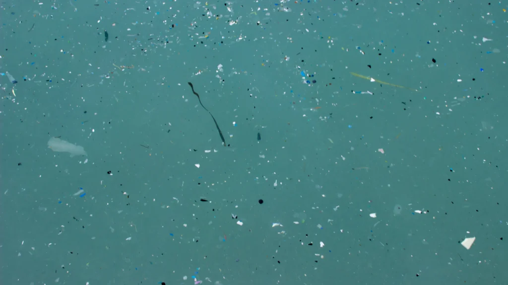 The Silent Threat: Microplastics and Their Devastating Impact on Marine ...